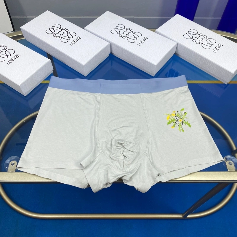 Low-cost Loewe Underwear