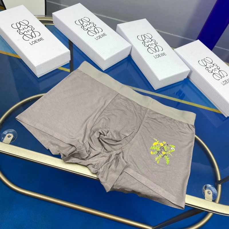 Low-cost Loewe Underwear