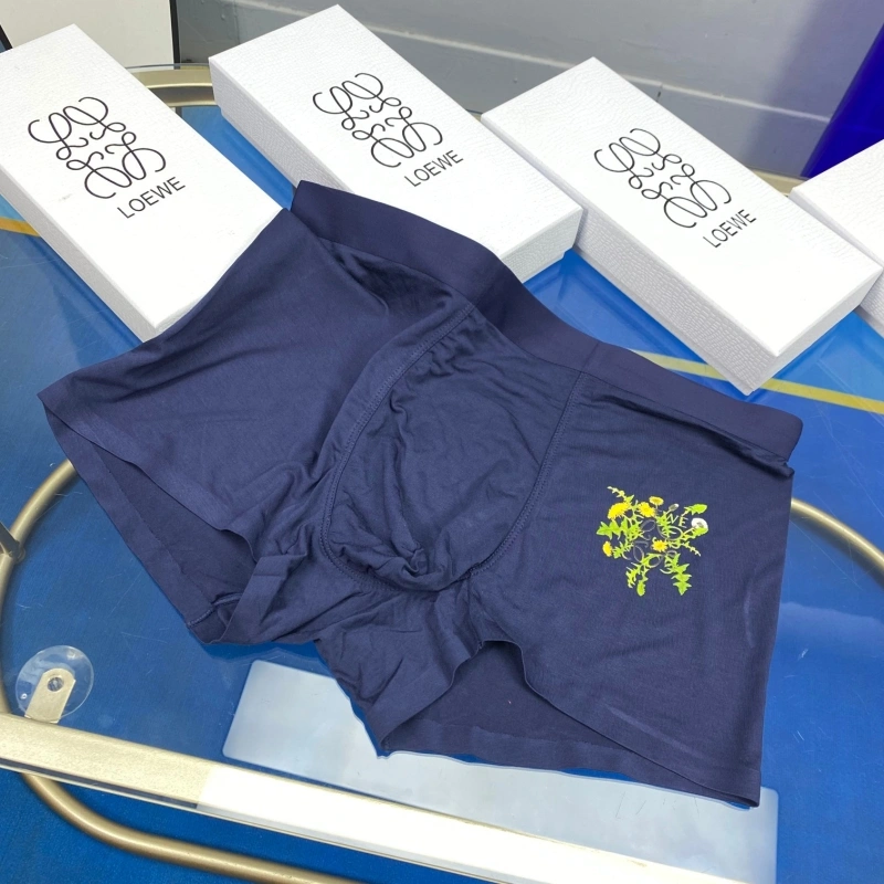 Low-cost Loewe Underwear