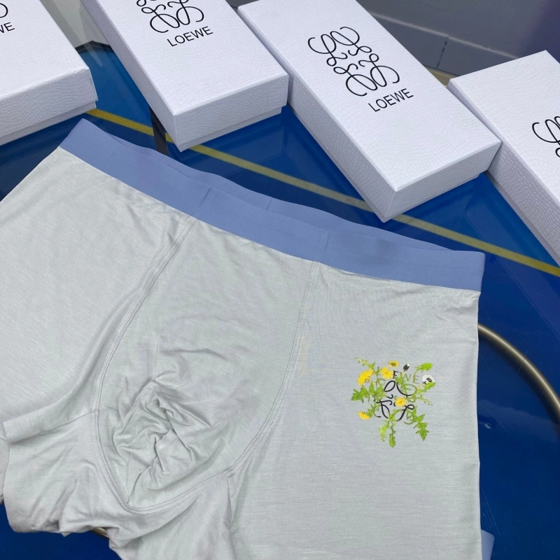 Low-cost Loewe Underwear