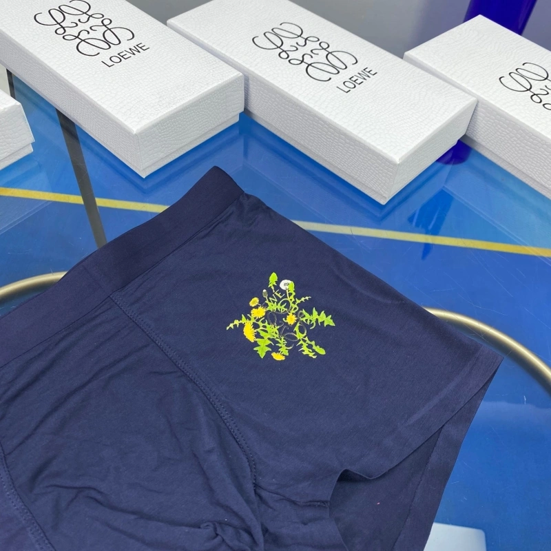 Low-cost Loewe Underwear
