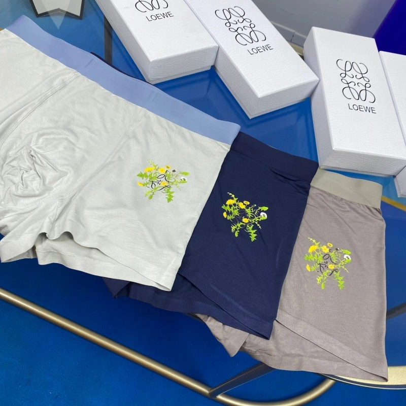 Low-cost Loewe Underwear