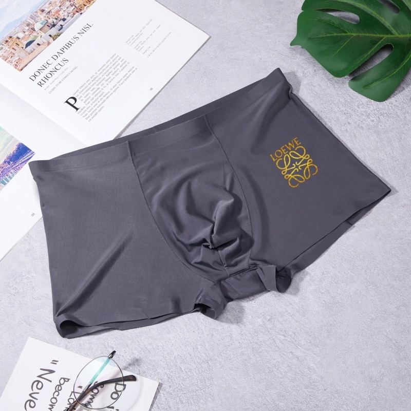 Precise copy Loewe Underwear