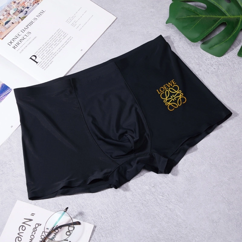 Precise copy Loewe Underwear