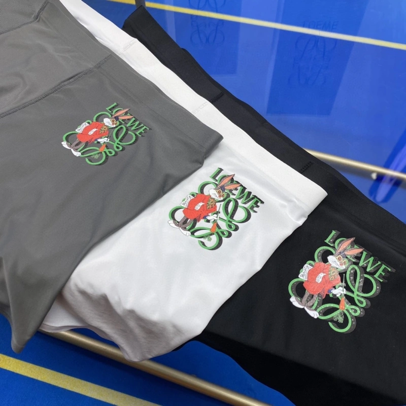 High fidelity Loewe Underwear