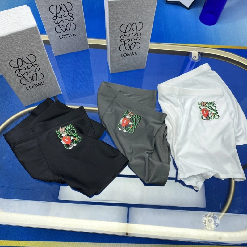 High fidelity Loewe Underwear