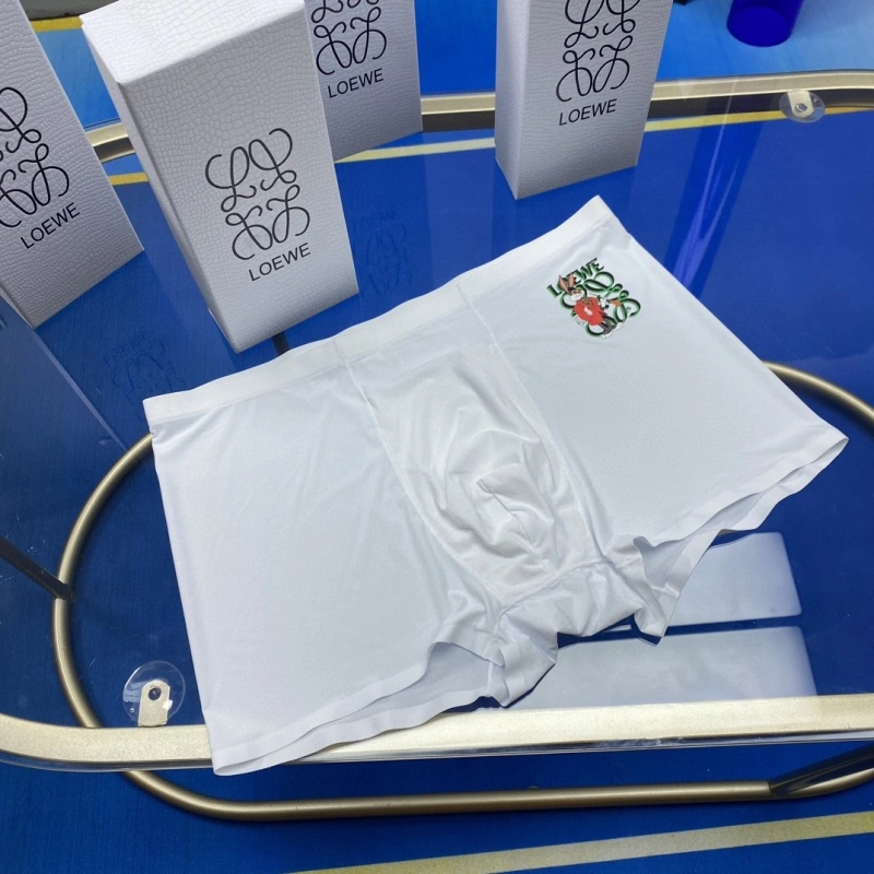 High fidelity Loewe Underwear