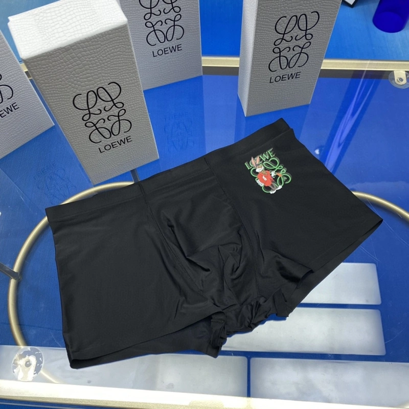 High fidelity Loewe Underwear