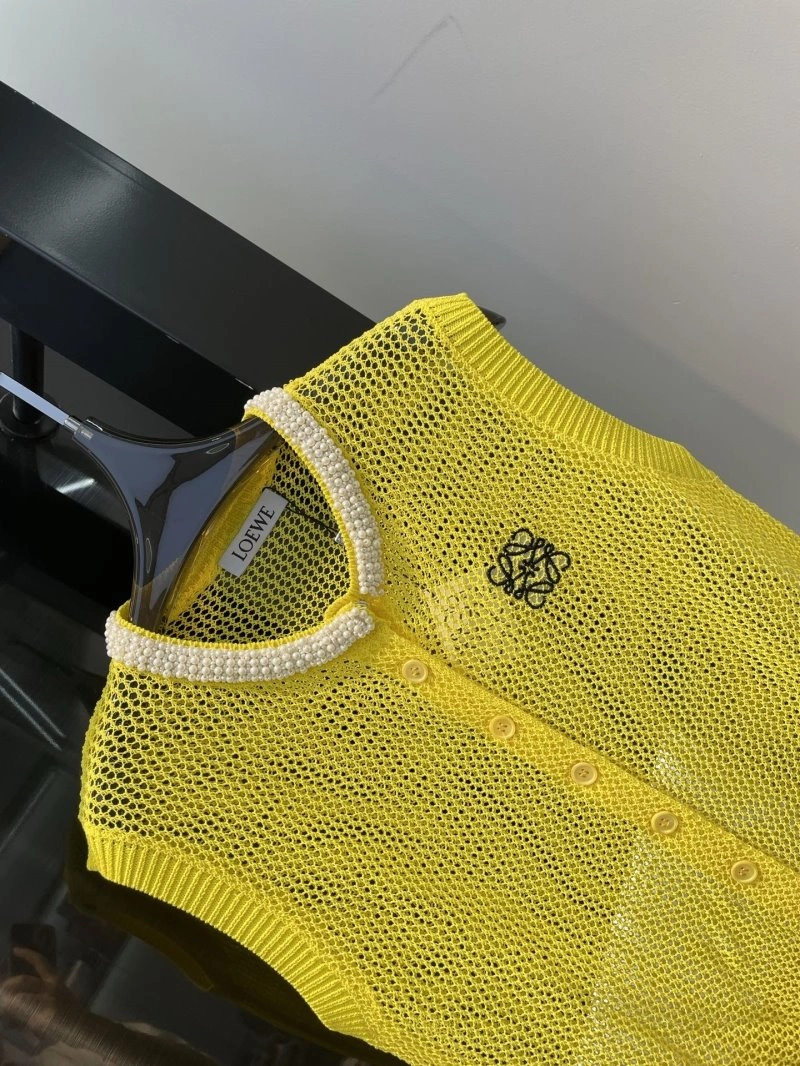 Low-cost Loewe Vest