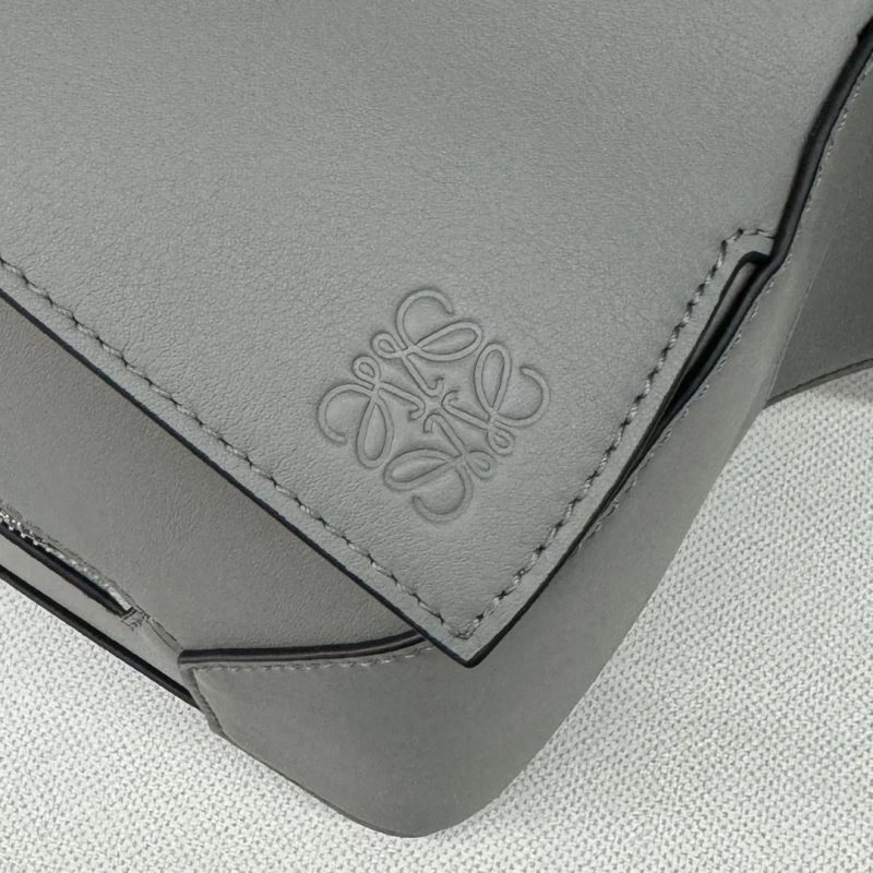 Top match Loewe Waist Chest Packs