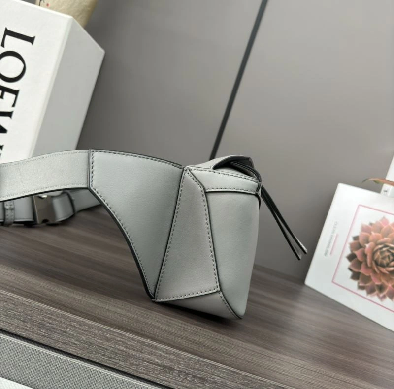 Indistinguishable Loewe Waist Chest Packs