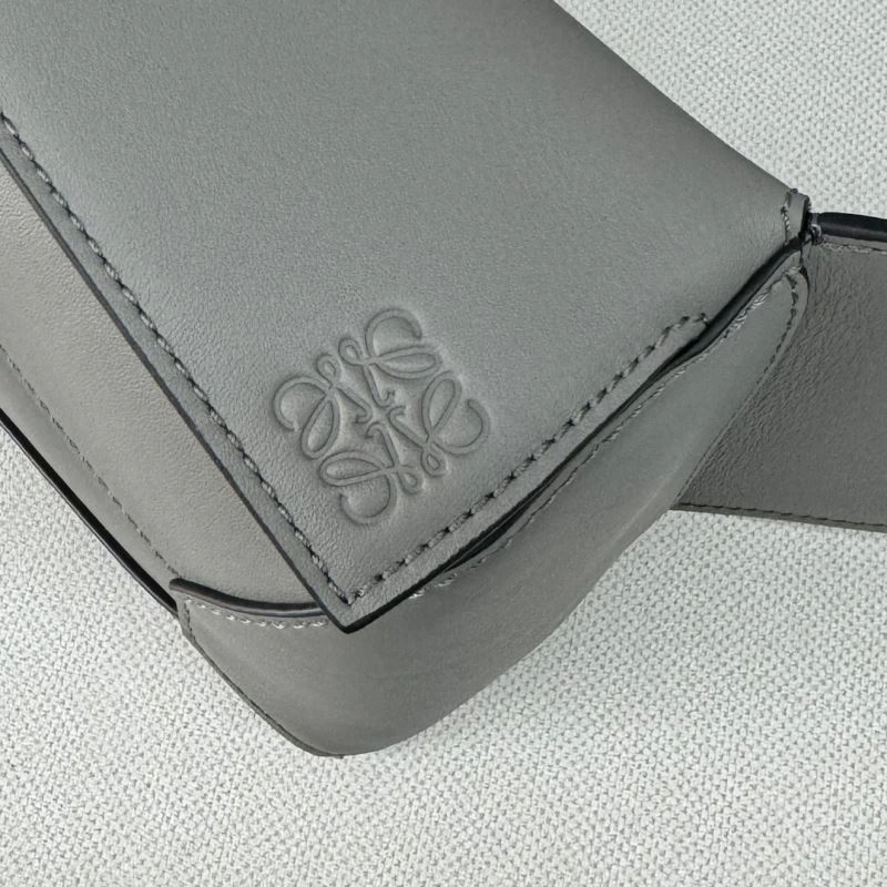 Indistinguishable Loewe Waist Chest Packs