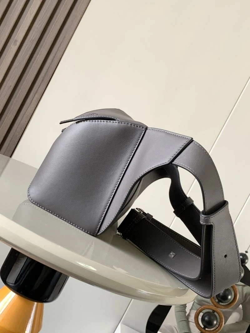 Indistinguishable Loewe Waist Chest Packs