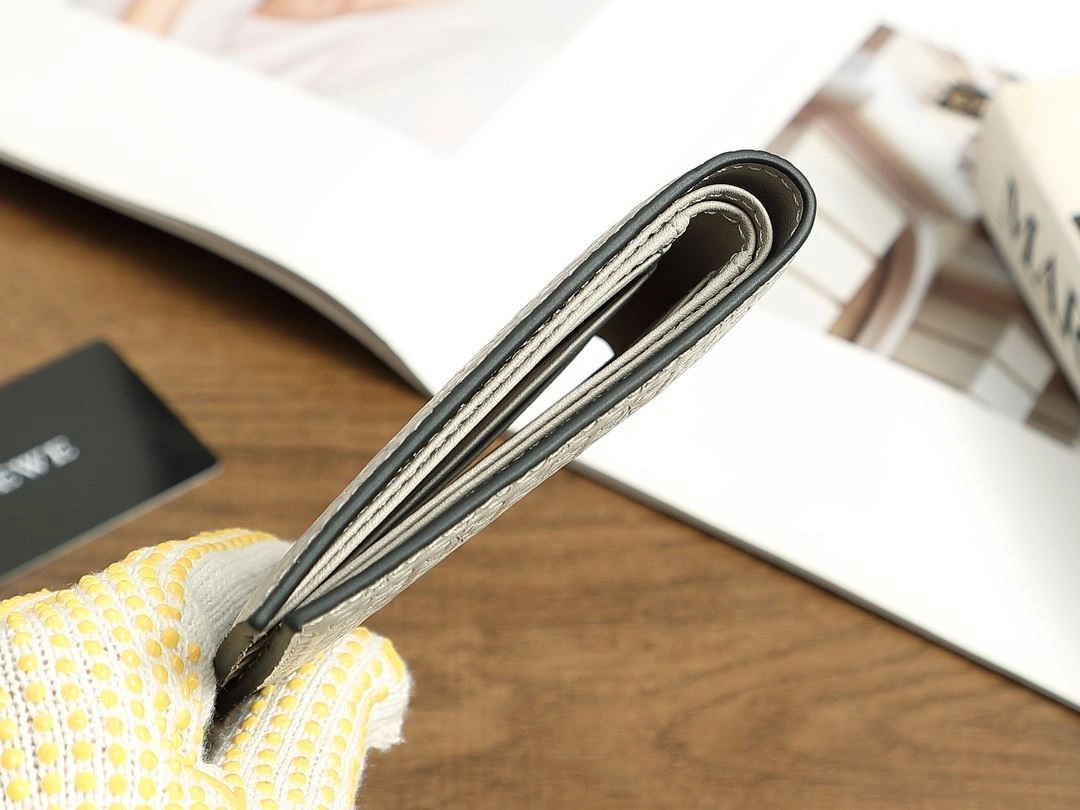 Economical Loewe Wallets Purse