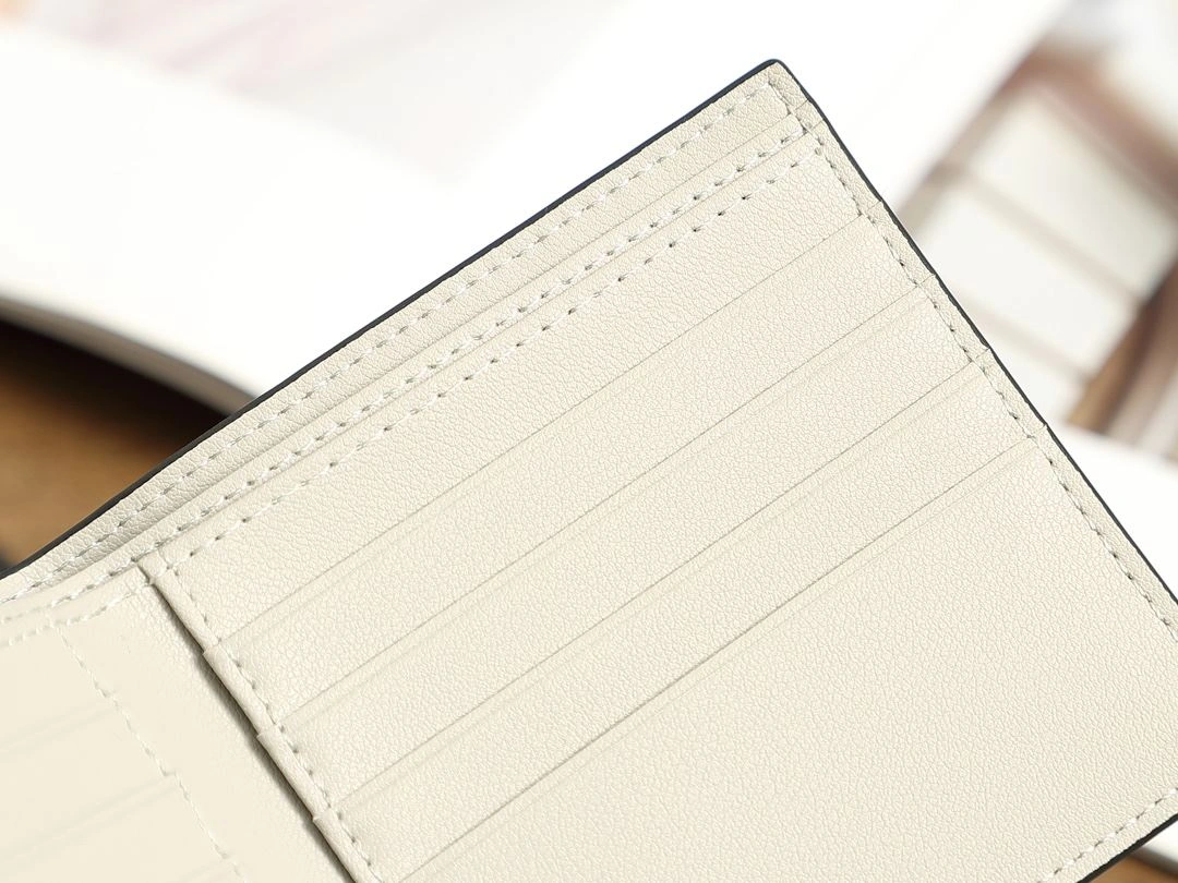 Economical Loewe Wallets Purse