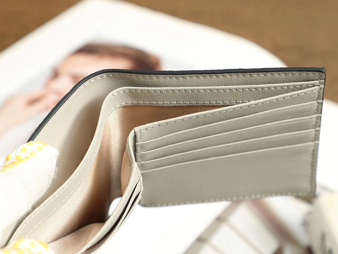 Economical Loewe Wallets Purse