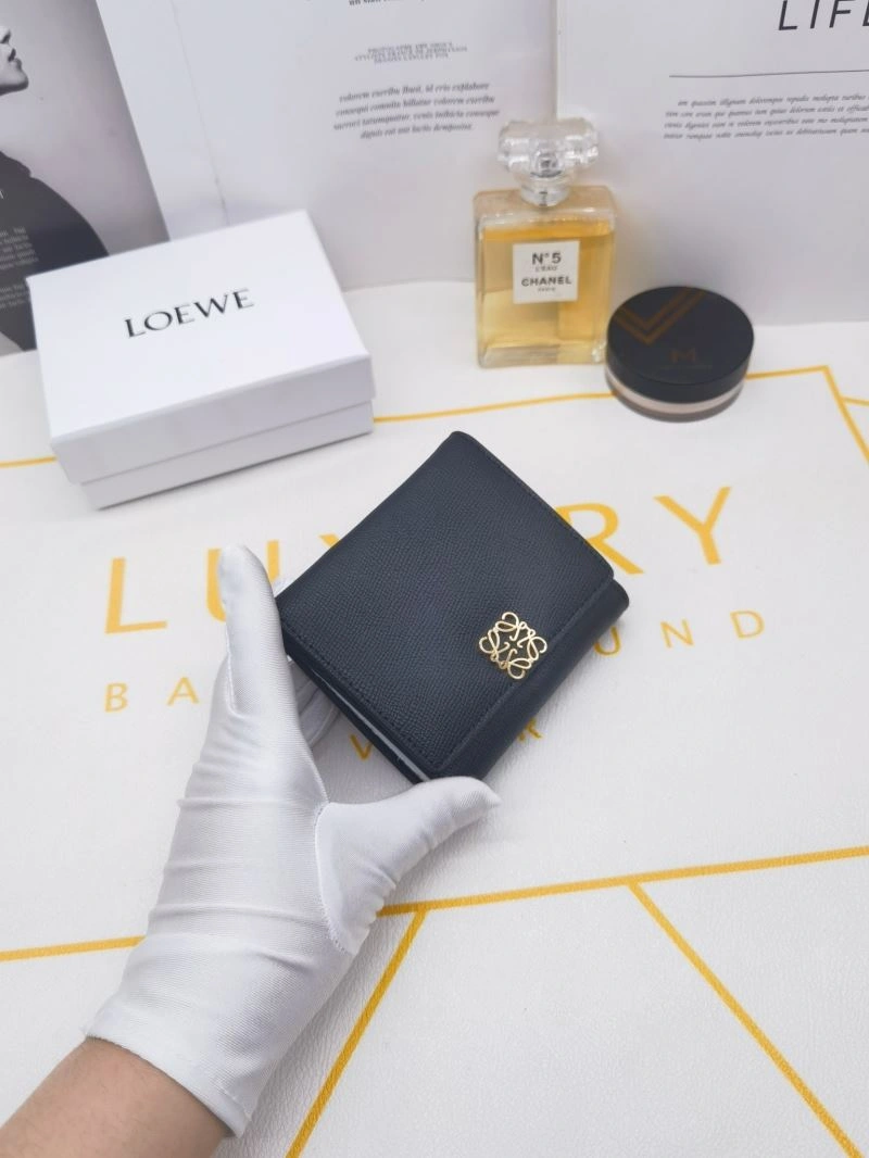 Cut-rate Loewe Wallets Purse