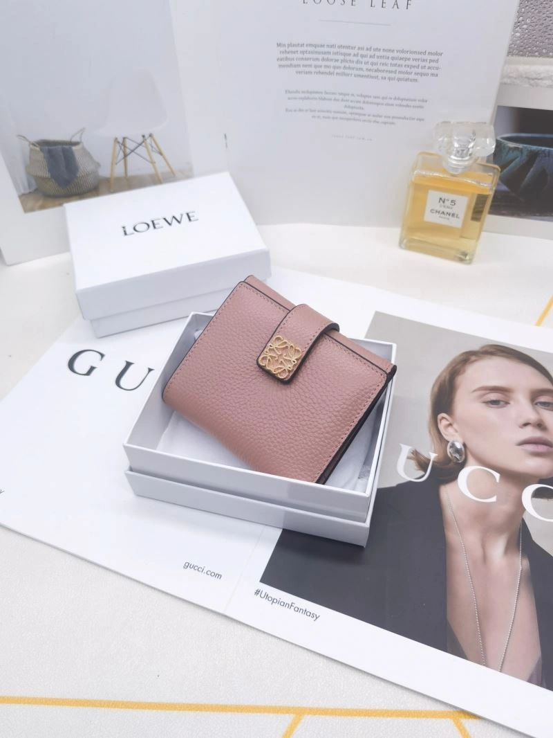 Budget-friendly Loewe Wallets Purse