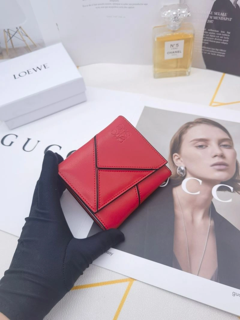 Top match Loewe Wallets Purse
