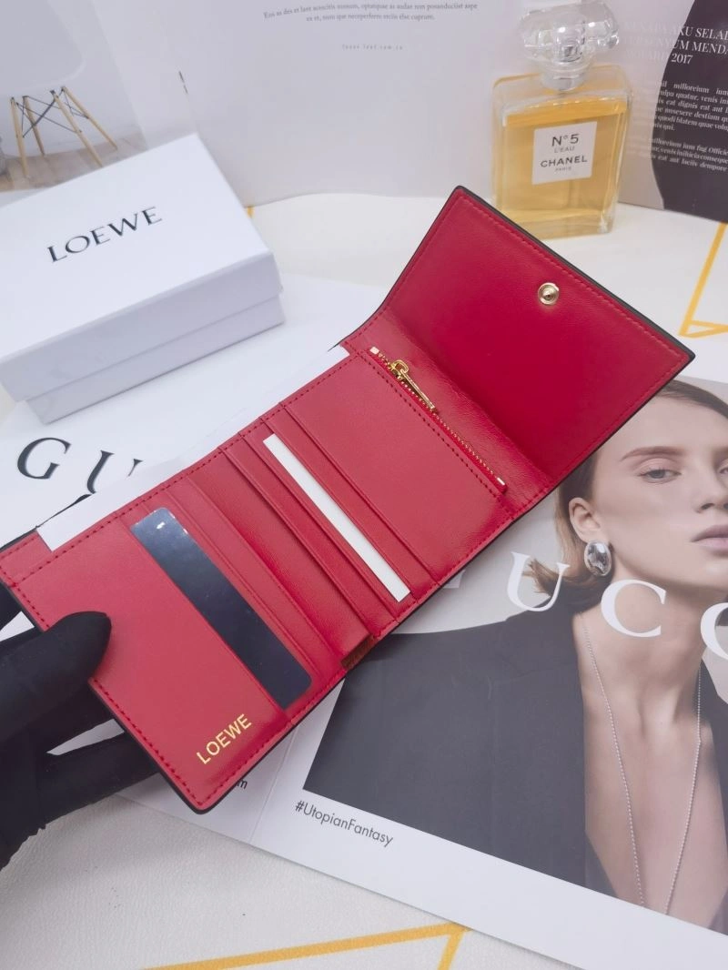 Top match Loewe Wallets Purse