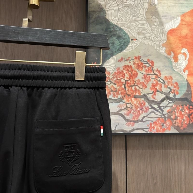 Economical Loro Piana Long Pants