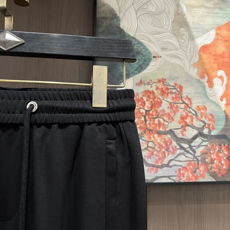 Economical Loro Piana Long Pants