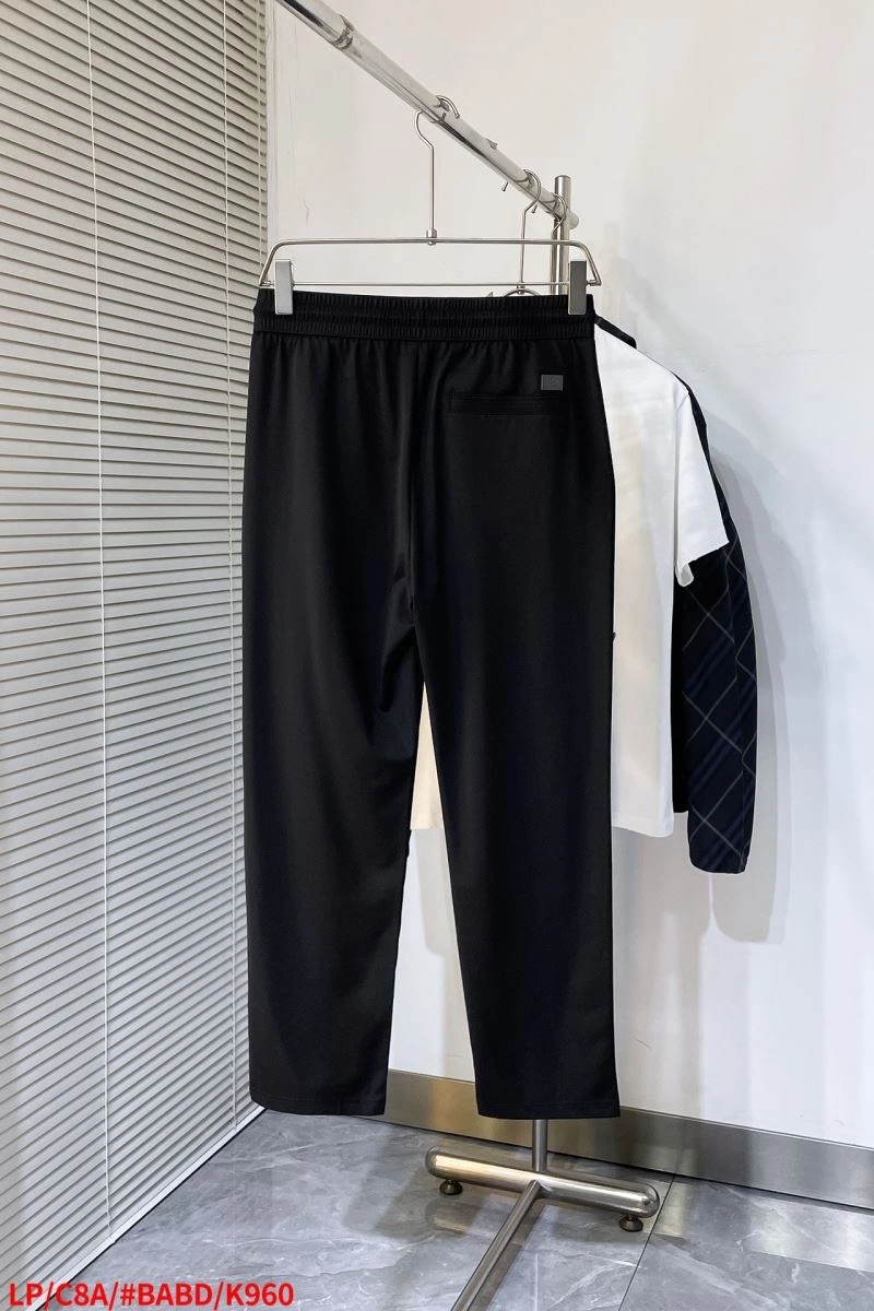 Budget-friendly Loro Piana Long Pants