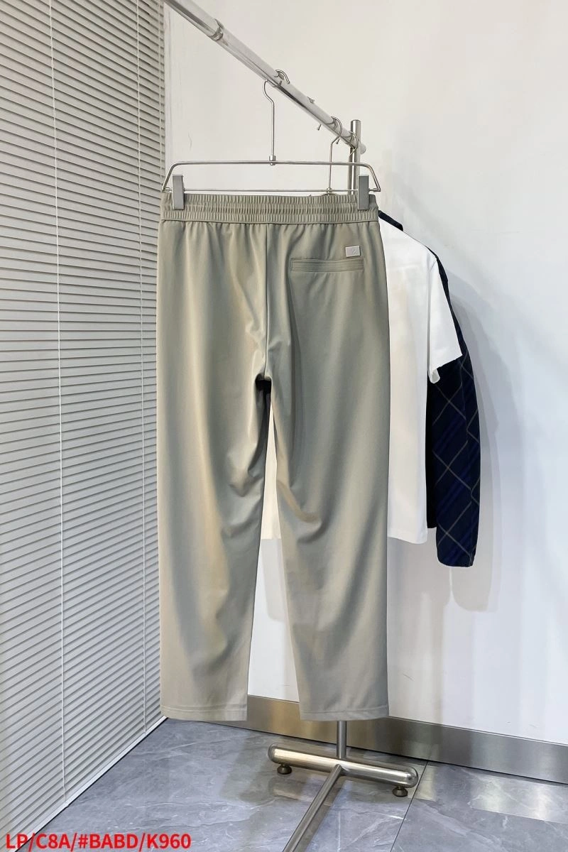 Indistinguishable Loro Piana Long Pants