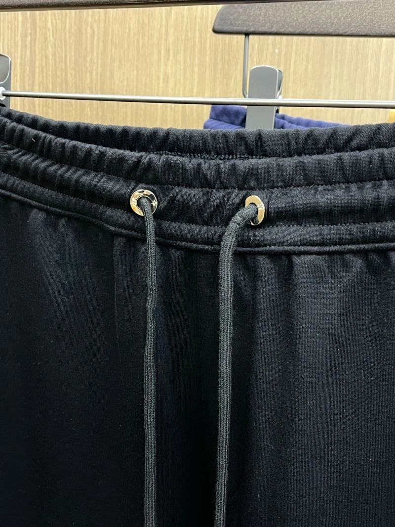 Indistinguishable Loro Piana Long Pants