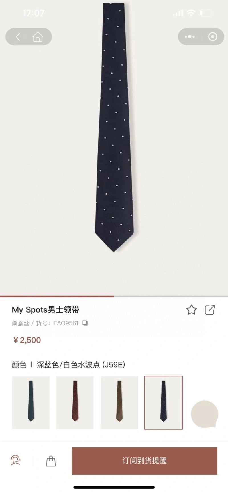 Loro Piana Neckties