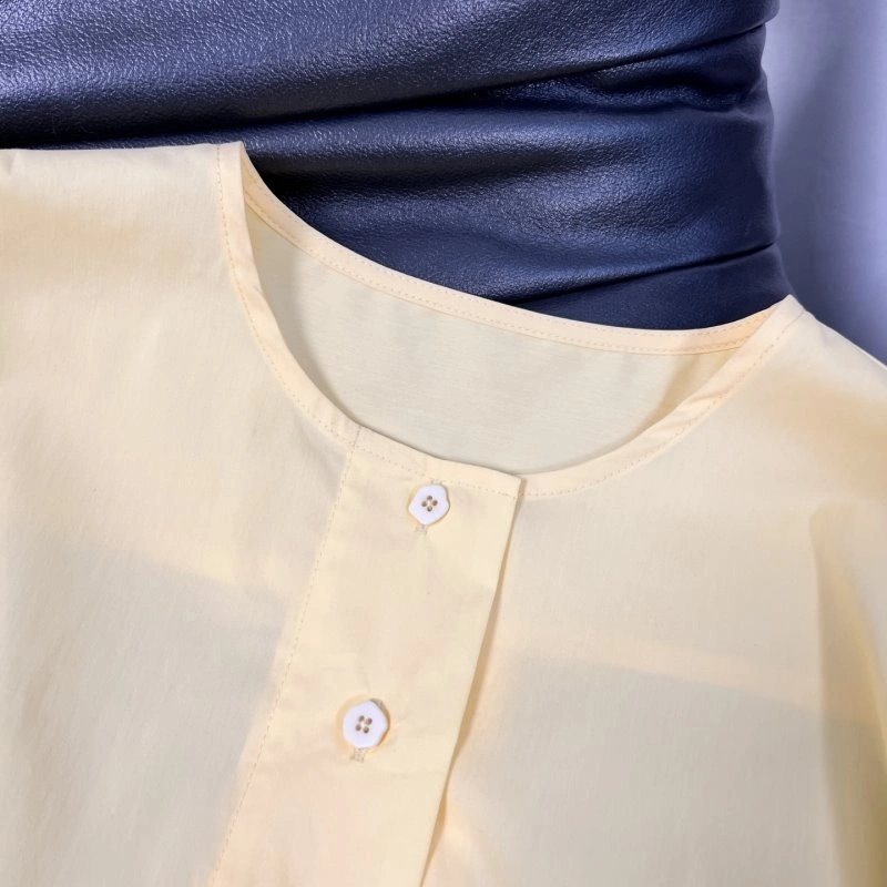 Low-cost Loro Piana Shirts