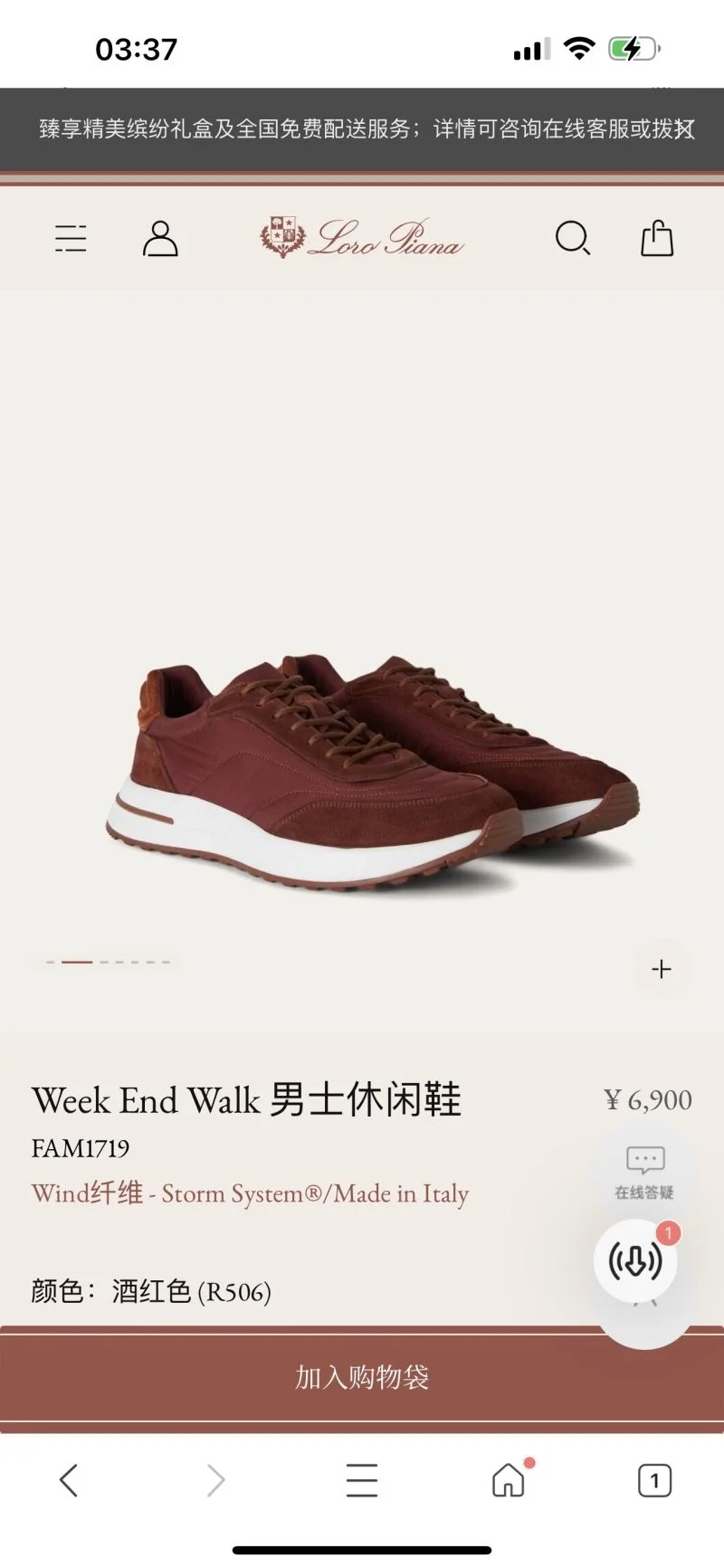 Loro Piana Shoes