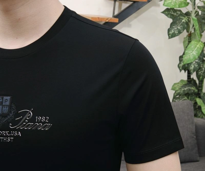 Economical Loro Piana T-Shirts