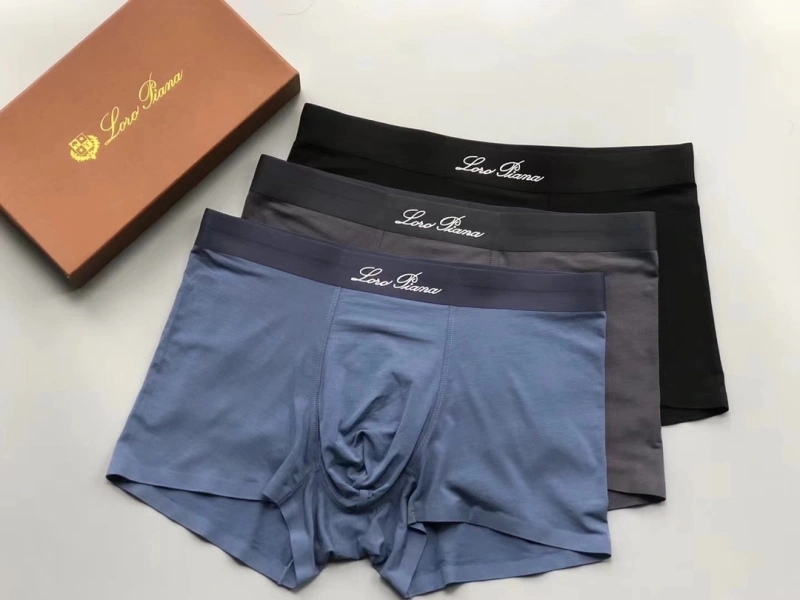 Exact replica Loro Piana Underwear