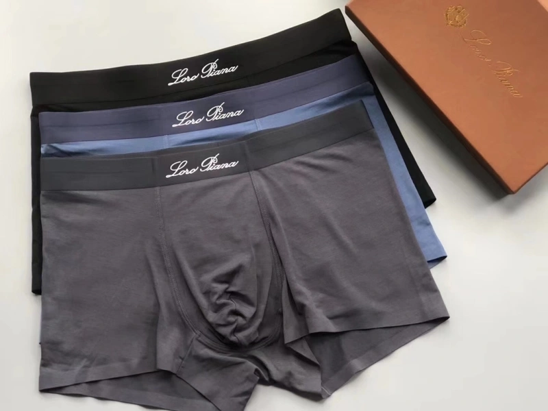 Exact replica Loro Piana Underwear