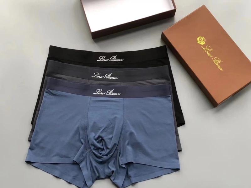 Exact replica Loro Piana Underwear