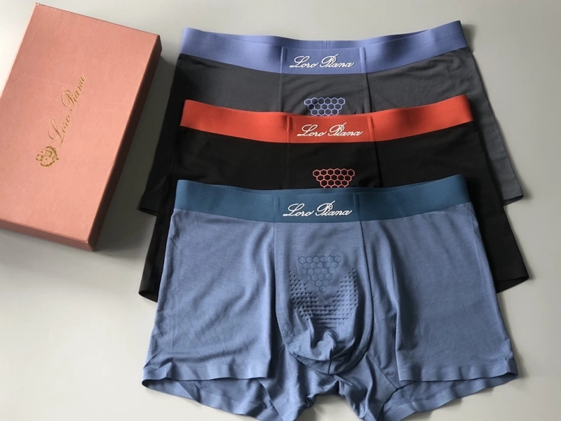Loro Piana Underwear