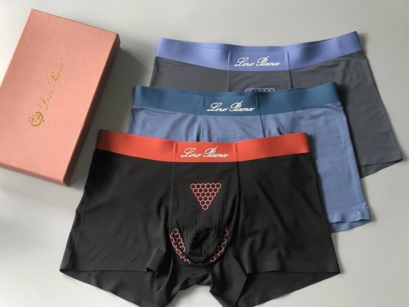 Brand-original Loro Piana Underwear
