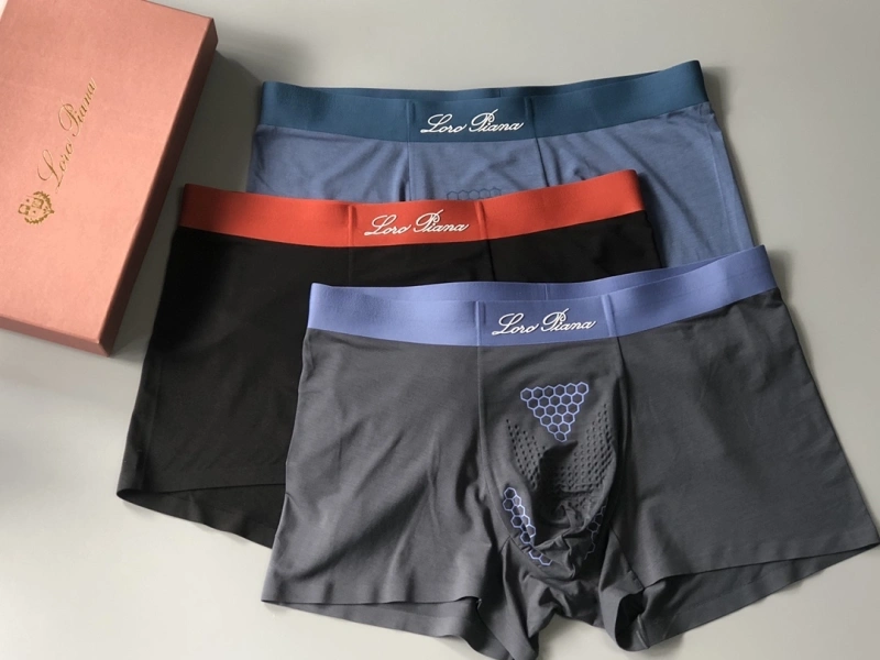 Brand-original Loro Piana Underwear
