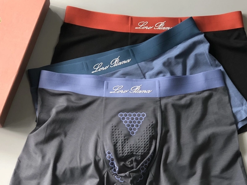 Brand-original Loro Piana Underwear