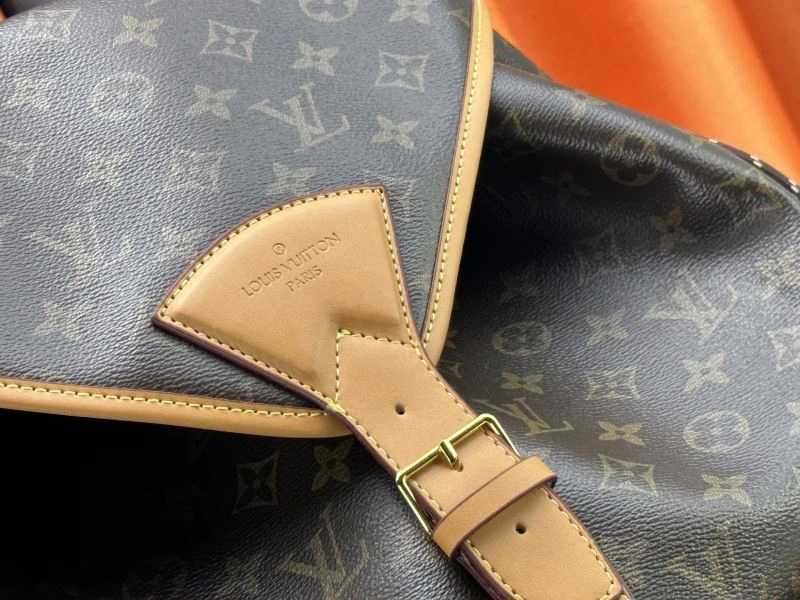 Top match Louis Vuitton Backpacks