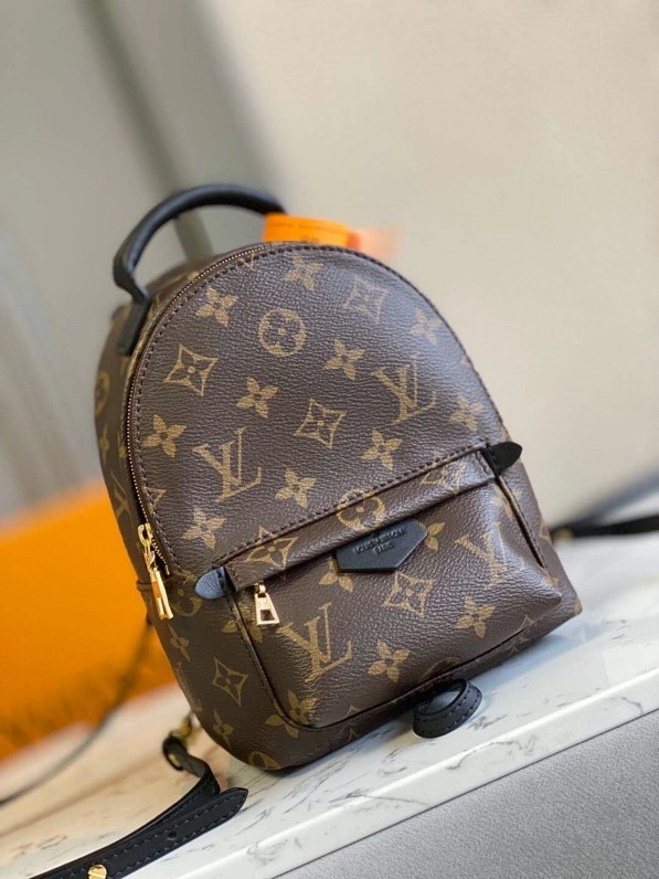 Louis Vuitton Backpacks