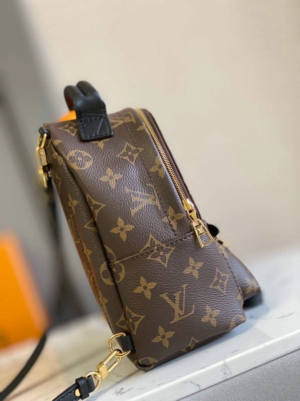 High accuracy Louis Vuitton Backpacks