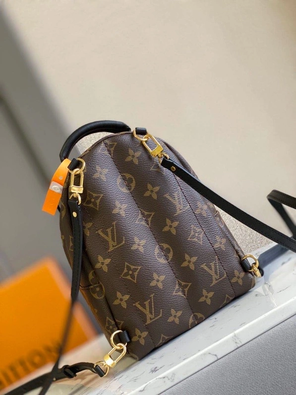 High accuracy Louis Vuitton Backpacks