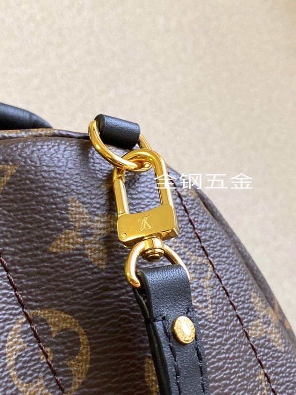 High accuracy Louis Vuitton Backpacks