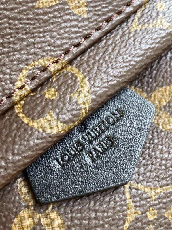 High accuracy Louis Vuitton Backpacks