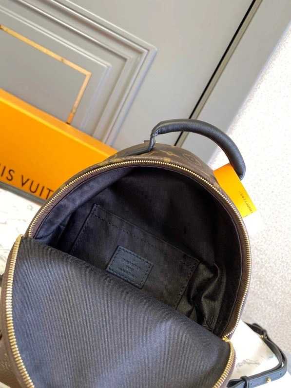 High accuracy Louis Vuitton Backpacks
