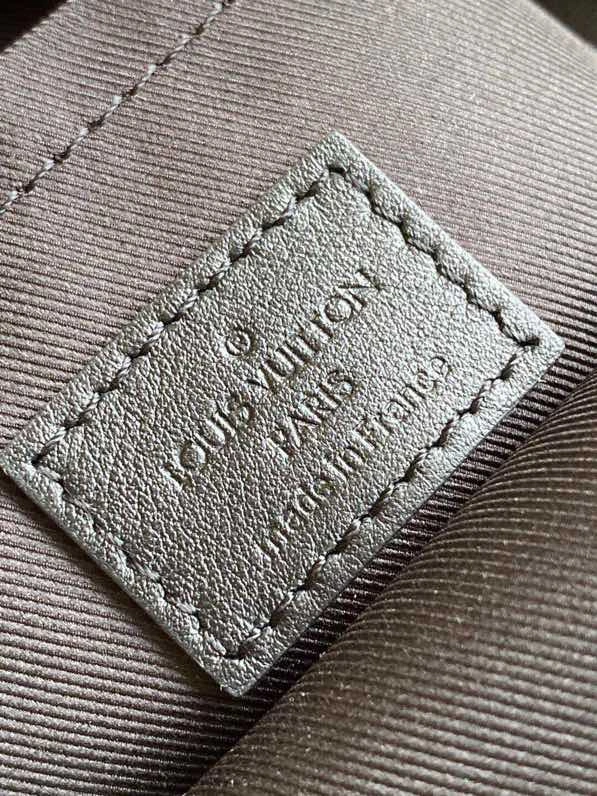 High accuracy Louis Vuitton Backpacks