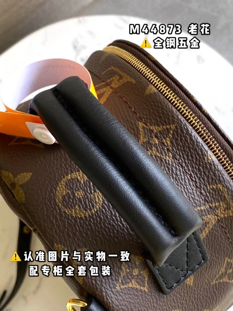 High accuracy Louis Vuitton Backpacks