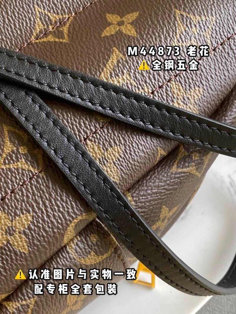High accuracy Louis Vuitton Backpacks